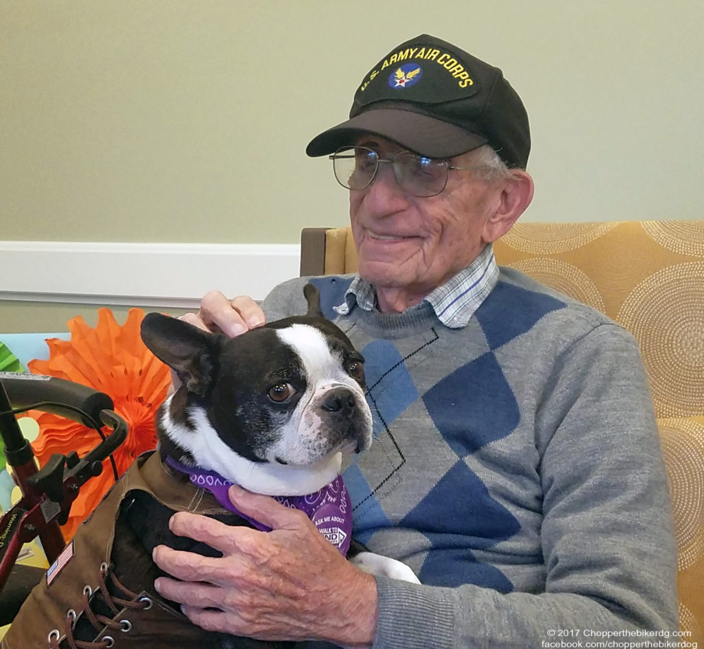 Chopper the Biker Dog, San Diego’s Beloved Celebrity – The Goodness ...